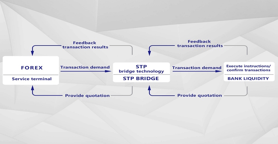 What is STP Execution? | Forex Blog | Fxmerge